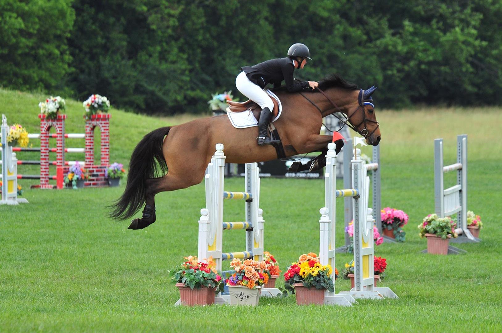 8 Of The Best Equestrian Facilities In America 8 Of The Best Equestrian Facilities In America