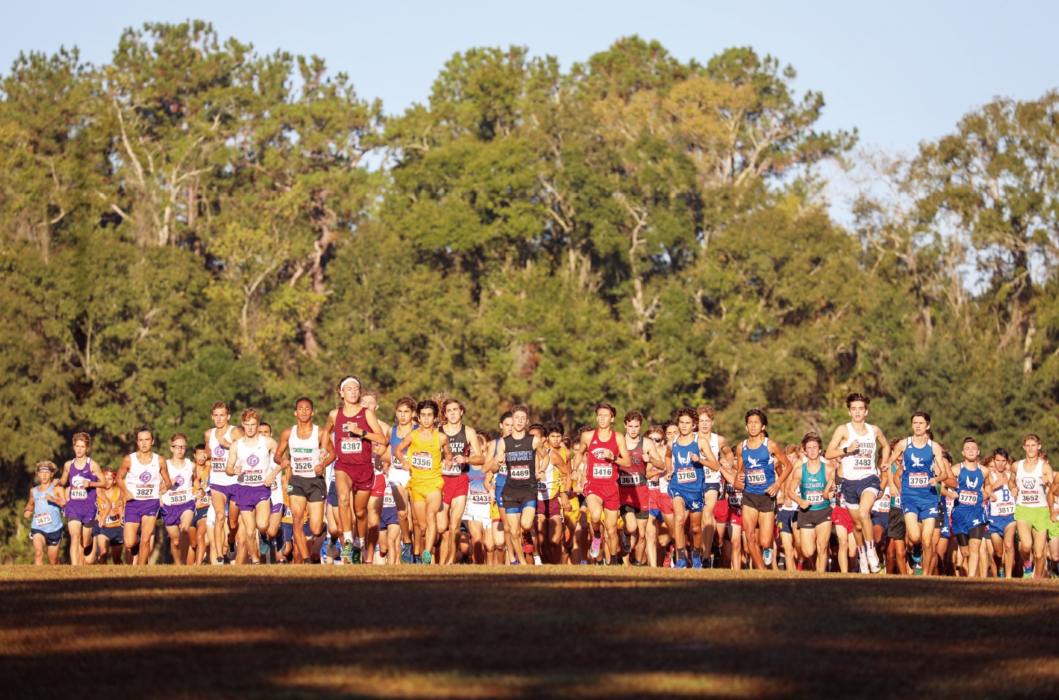 THE SUNSHINE STATE IS A SPORTING PARADISE