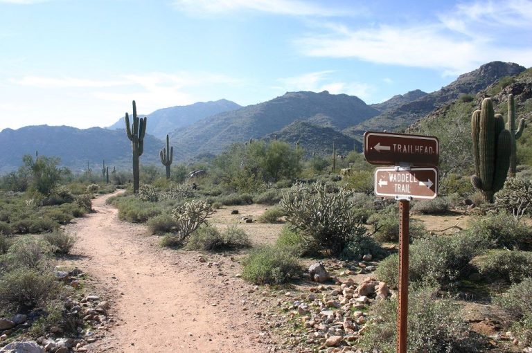 Surprise Arizona